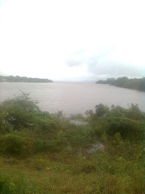 Ministerio Misionero de Profecía, Liberación, Sanidad y Consejería ...