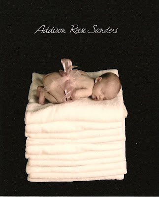 One Sweet World: Addison Reese... Oh How Time Flies