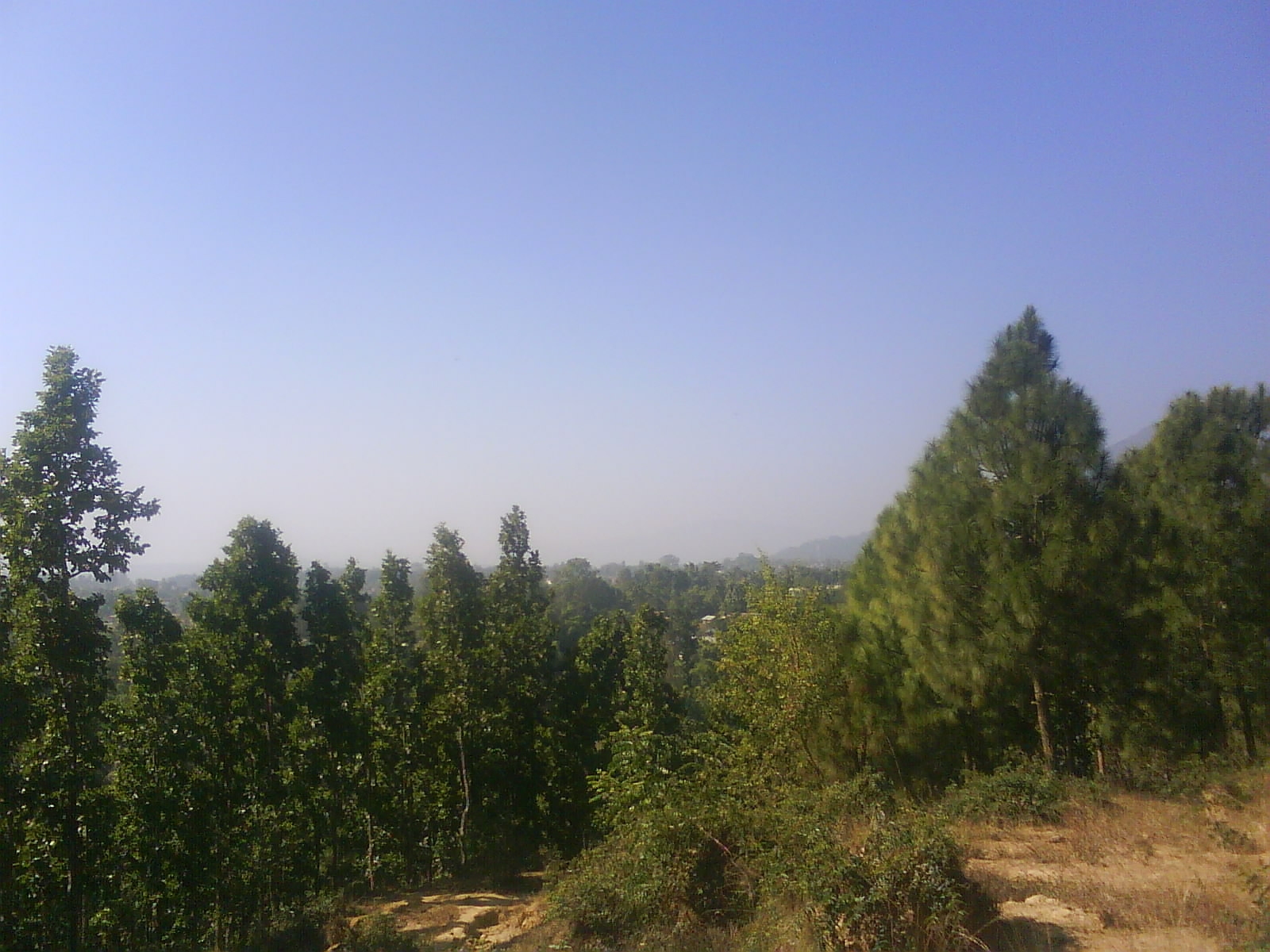 My Journey To Surkhet Nepal « Use Homeopathy And Be Healthy