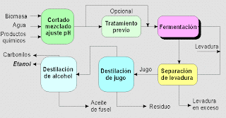 Respiracion Célula: Respiración Célular