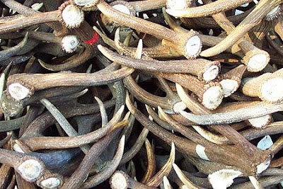 LA MIA PREISTORIA: 28-apr-2008