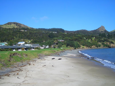 Becky's travel blog: Northland, New Zealand.