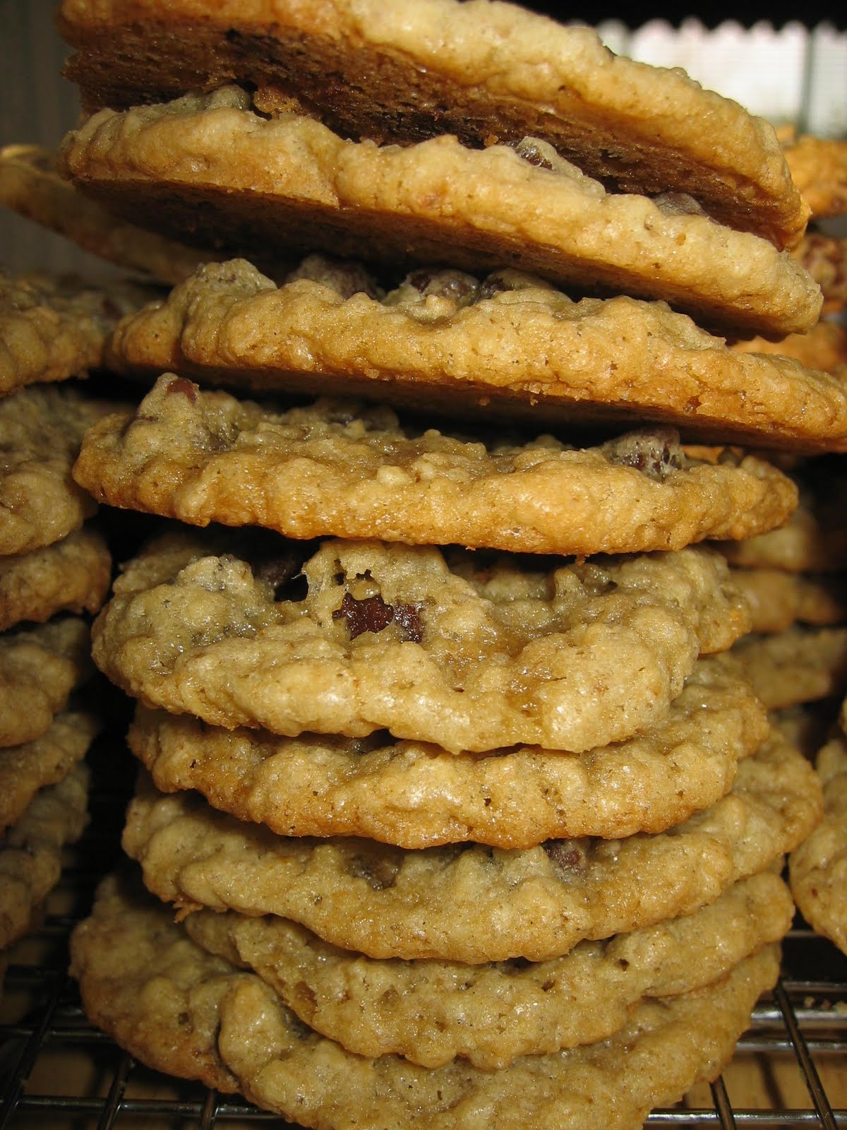 Kristi's Kitchen Kreations: Oatmeal Chip Cookies