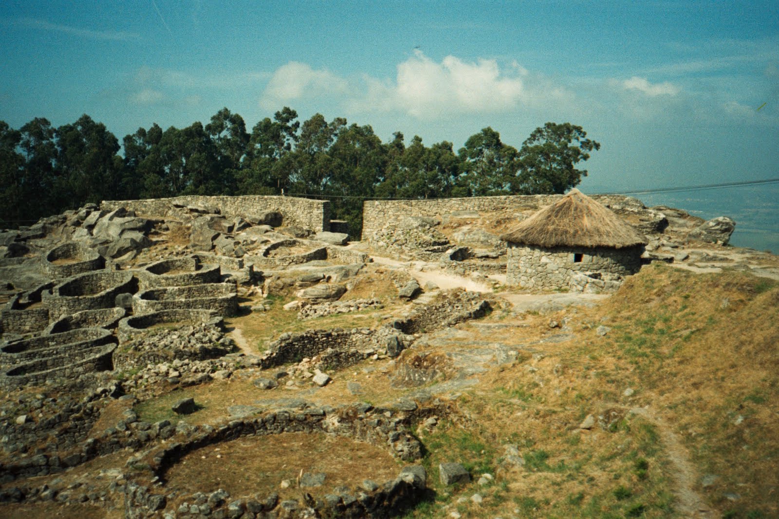 The Gallaeci tribe - Page 4