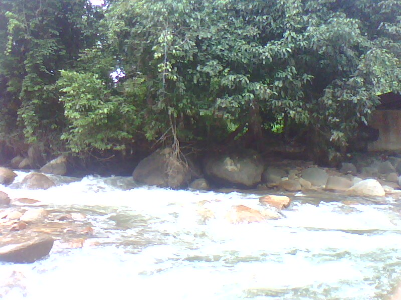 pleaselovemeunconditionally: Lata Rambung