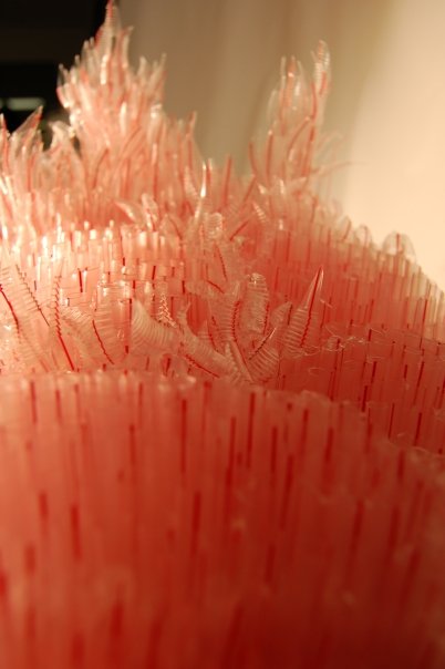 life's virgin: My highschool Art Portfolio for IB Art.