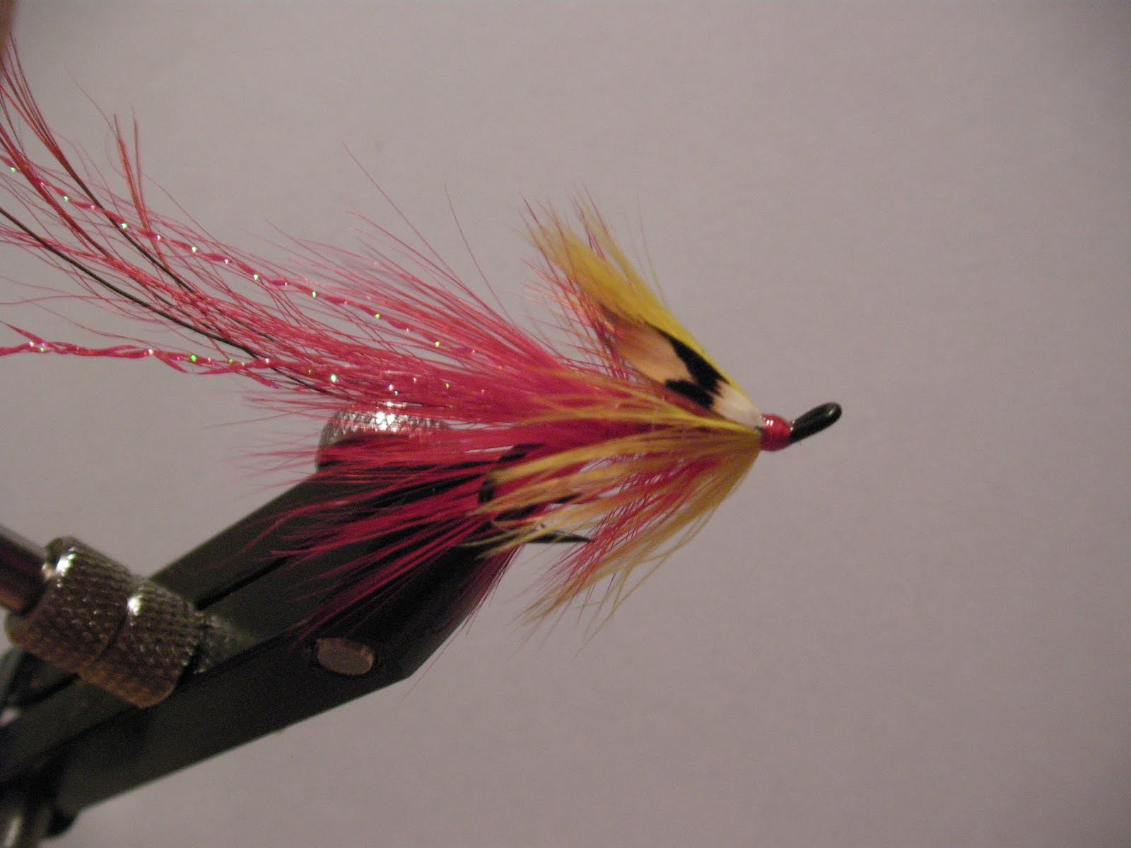Salmon Fly: Pot bellied pig Salmon fly
