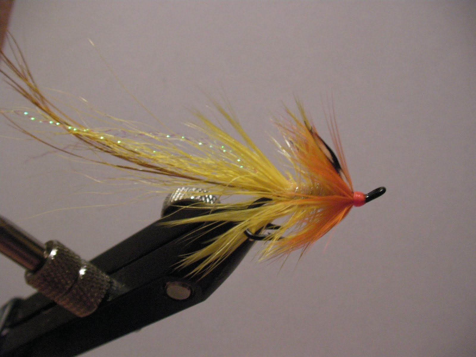 Salmon Fly: Pot bellied pig Salmon fly