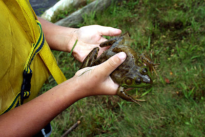 Colors Of The Garden: Summer Work and Play