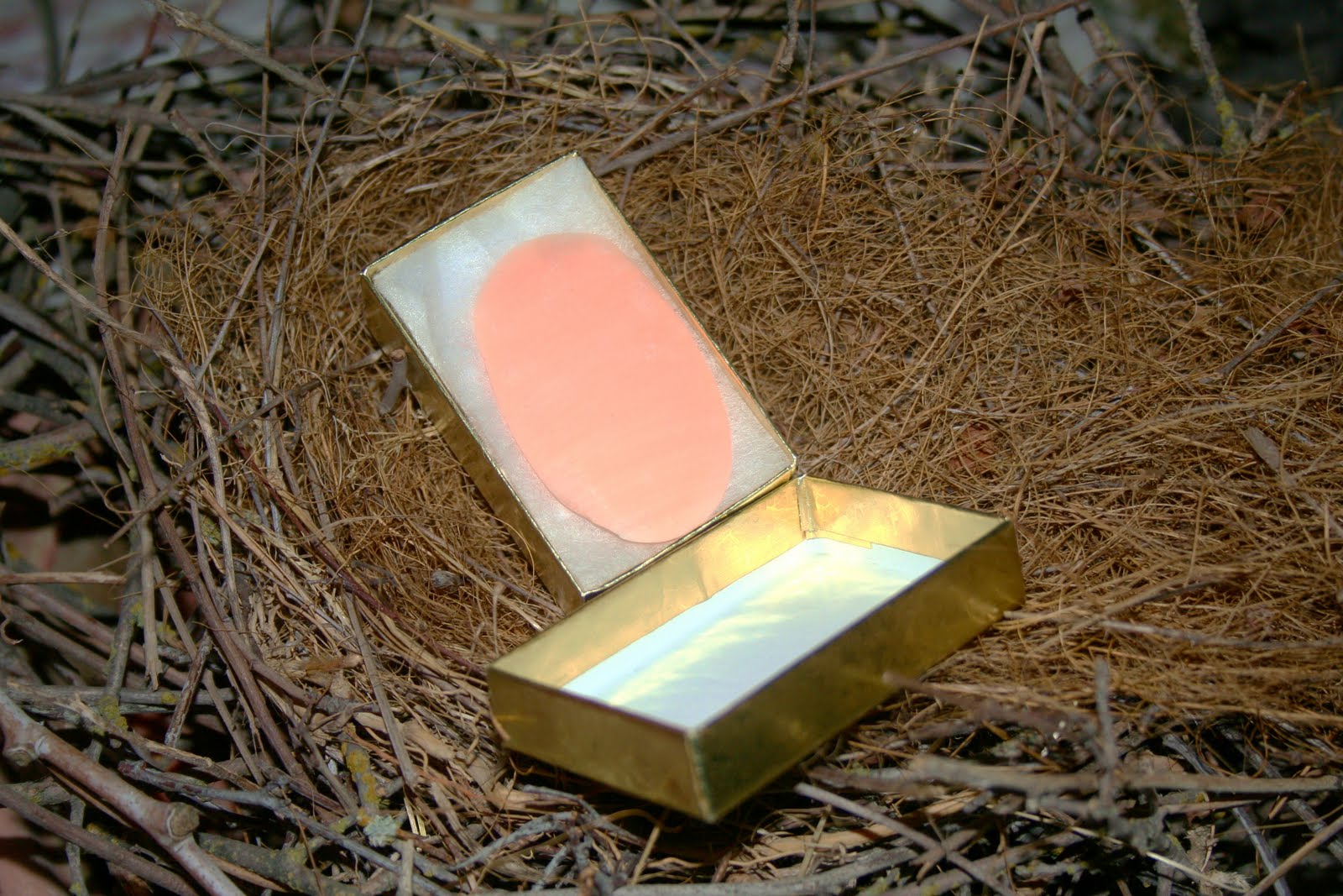 Enchanted Oak: Read This or I'll Bump Off My Cat