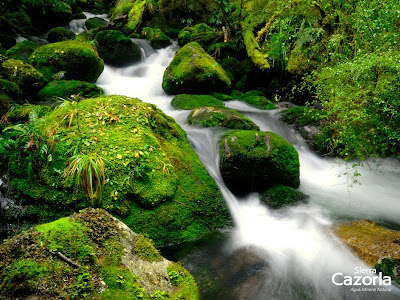 NUTRINEIRA: EL AGUA MINERAL, NATURAL Y ENVASADA