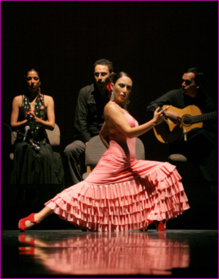 Flamenco: El flamenco y sus diferentes ámbitos