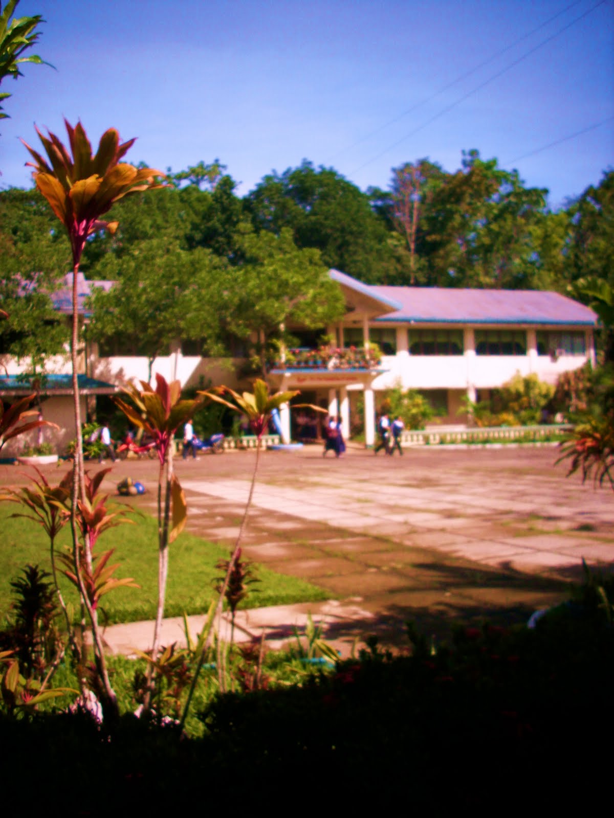 Elpa High Gallery of Pictures and Videos: 3RD YEAR CAMPUS TOUR