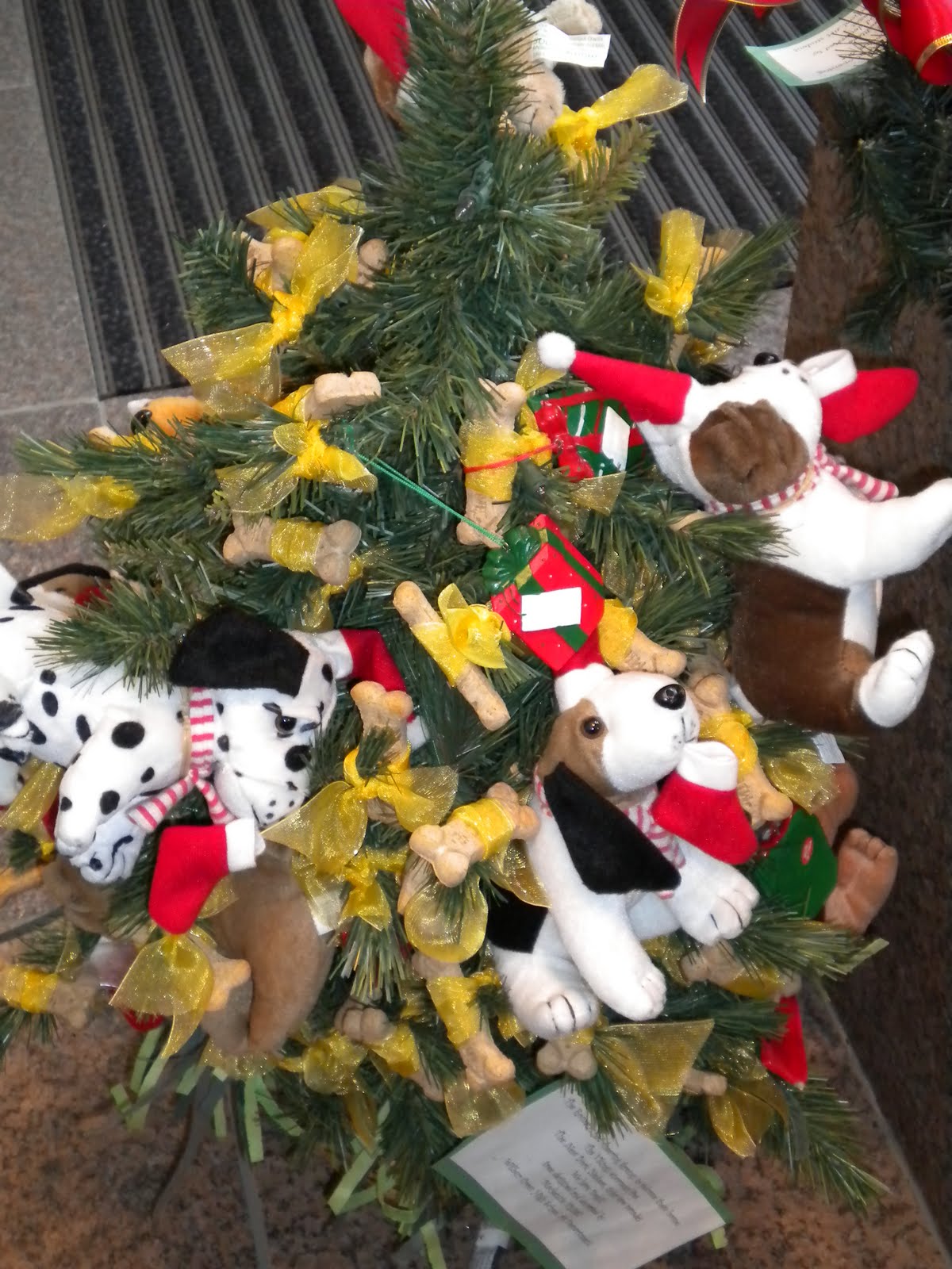 a. party style: xmas in july :: display of trees