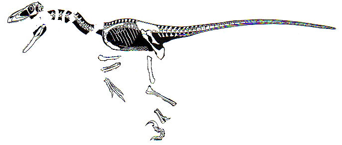 ART Evolved: Life's Time Capsule: Reconstruction Tips: Make your own ...