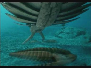 ART Evolved: Life's Time Capsule: Anomalocarids in Art