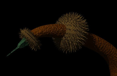 ART Evolved: Life's Time Capsule: The making of "Once Upon A Claw"