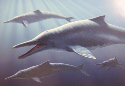 ART Evolved: Life's Time Capsule: Reconstruction Tips: Flukes Part 3