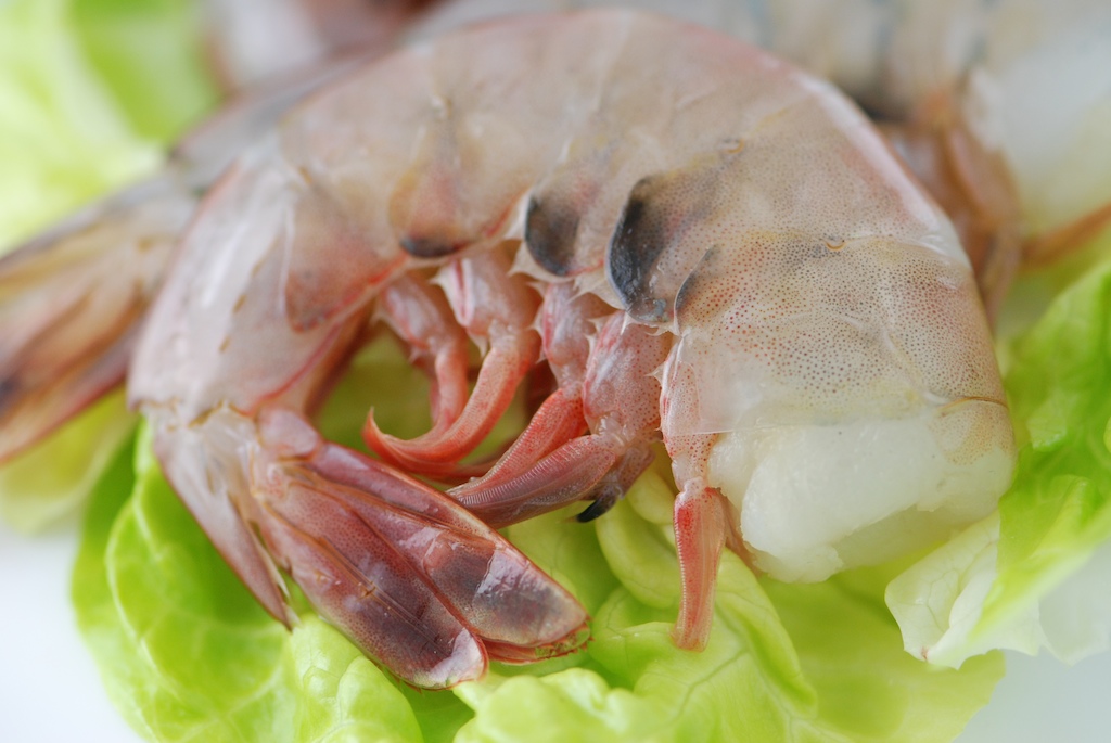 Types of Florida Shrimp | Lovin' Florida Wild Shrimp