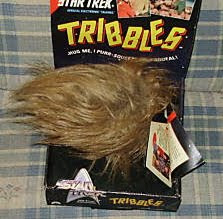 Shatner's Toupee: You can also put it on your head...