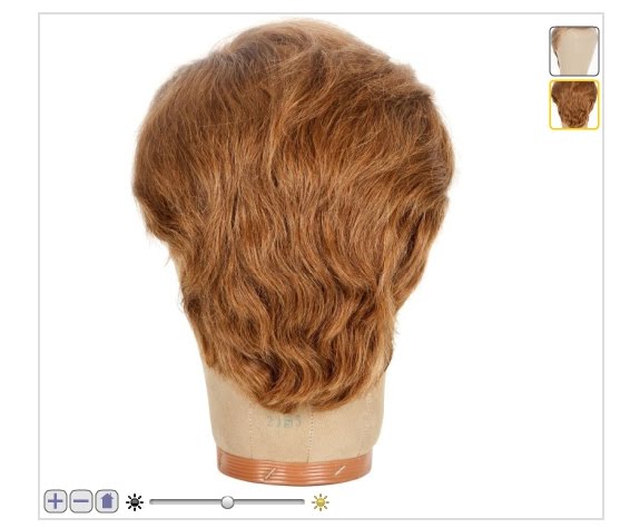 Shatner's Toupee: "Tell me why I bid on Shatner's old toupee..."