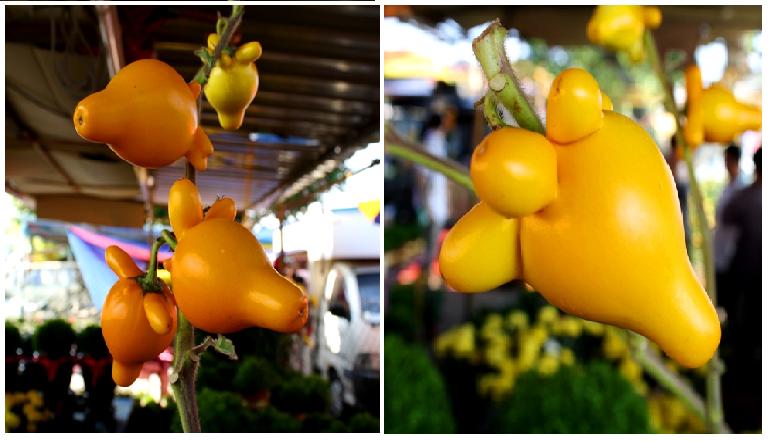 非常槟城 Extraordinary Penang: # Raja Uda - Apollo Market 阿坡罗市集