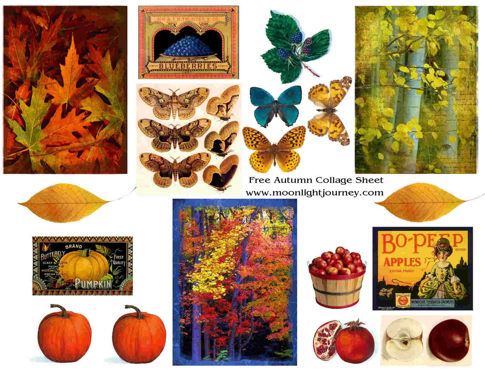 teri's art blog: Free collage sheets