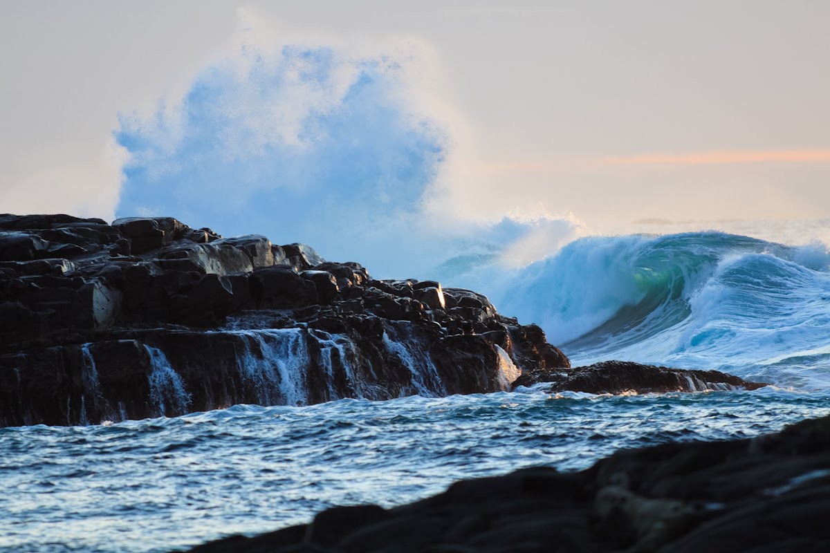 Smøla Naturopplevelser