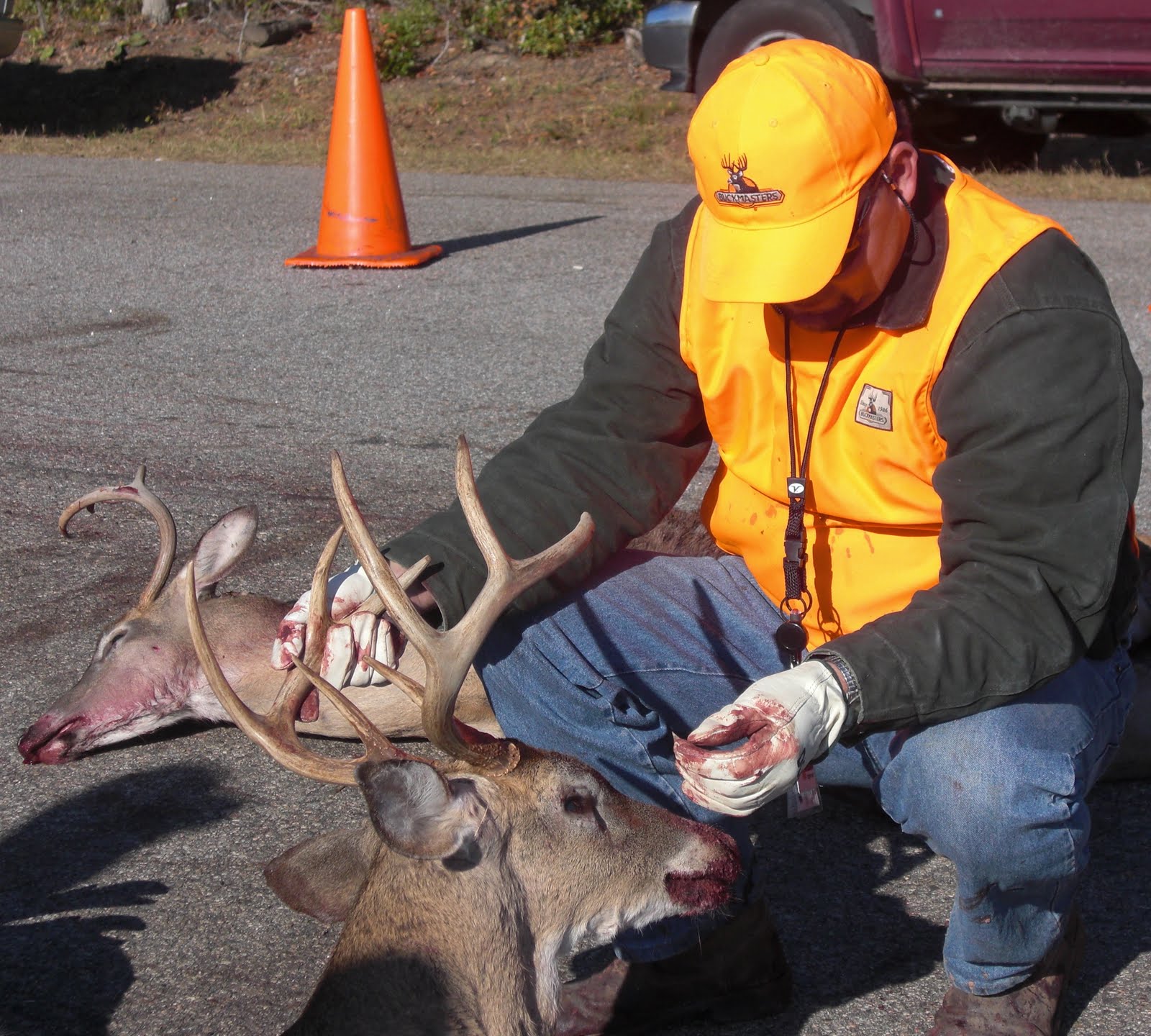 FoothillsOutdoors: Savannah River Site 12/1 Hunt Report