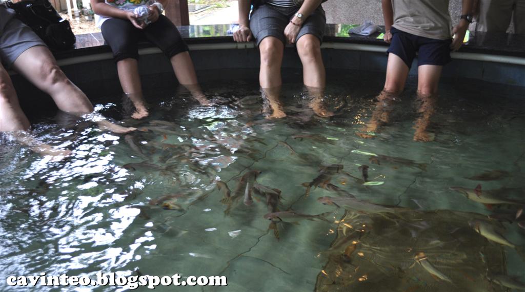 Entree Kibbles: Fish Spa @ Qian Hu (千湖)