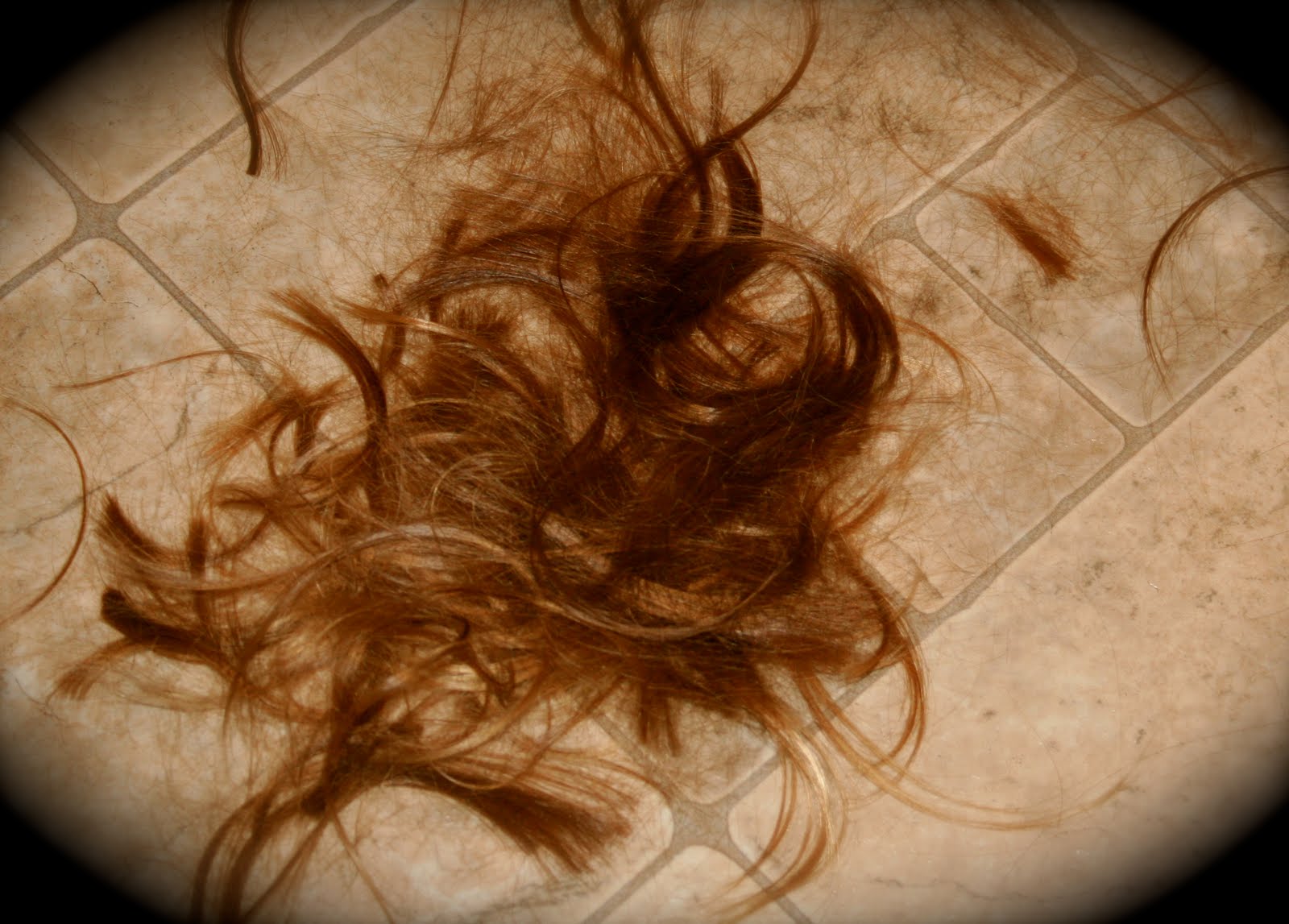 Pin by jar3d666 on HAIR | Long hair styles, Fall hair, Hair