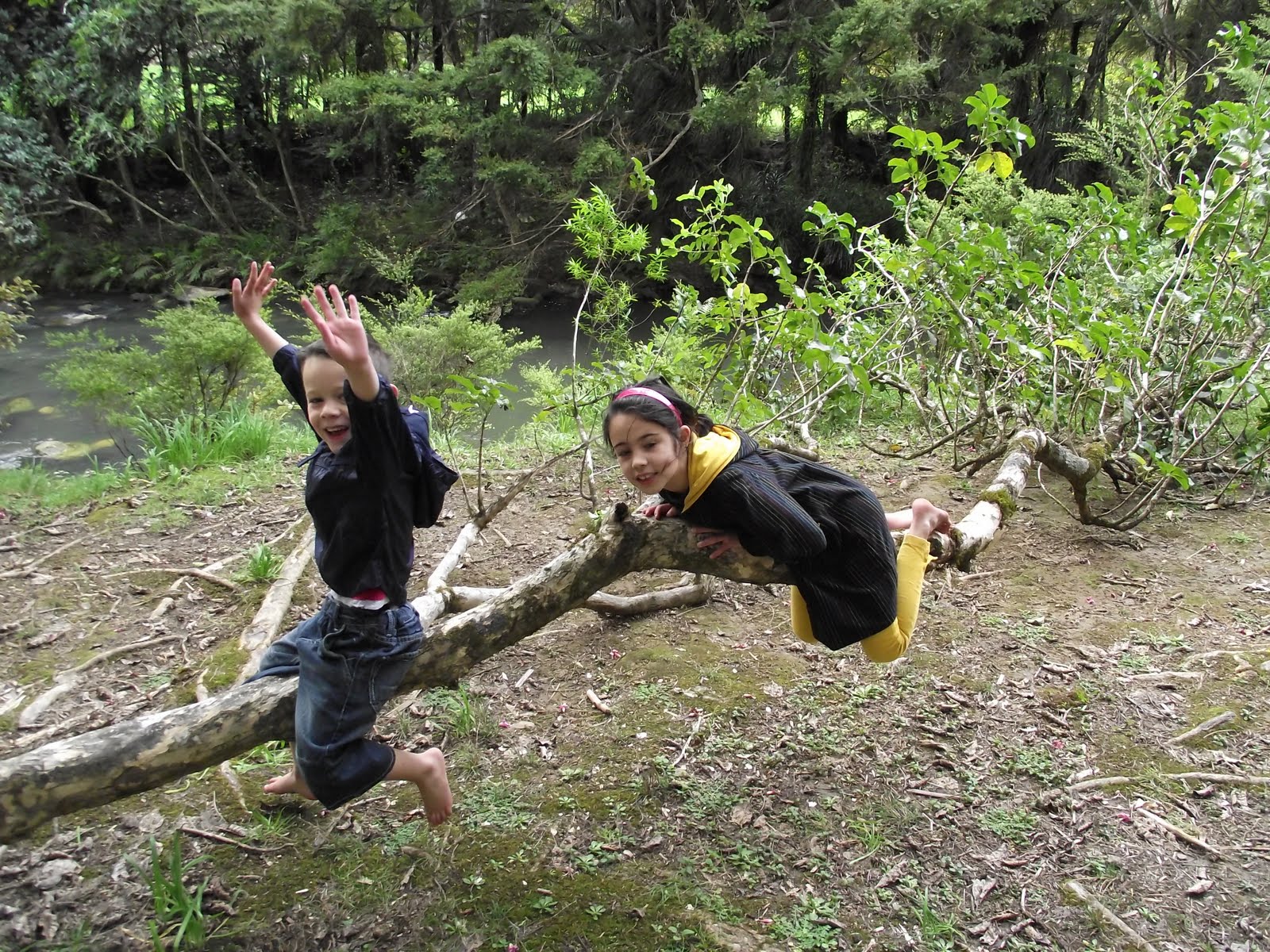 Jacksta - B ♥ : For he shall be like a tree planted by the waters...