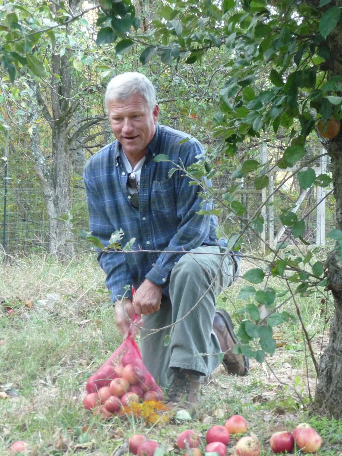 Facing Hunger in America: Gleaning with the Society of St. Andrew