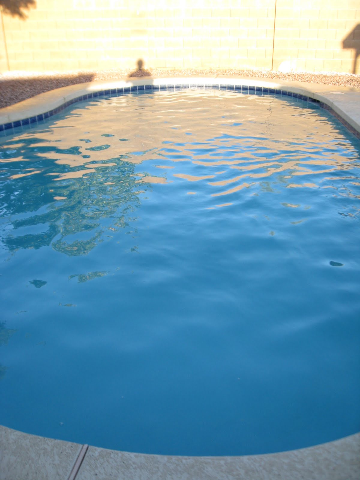 Pool Service by Pool Savers: Pool Service in Queen Creek - Pool Tile ...