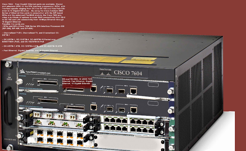 Welcome to Tutor PIGGY.blogspot.com: What is SDH,POS,STM