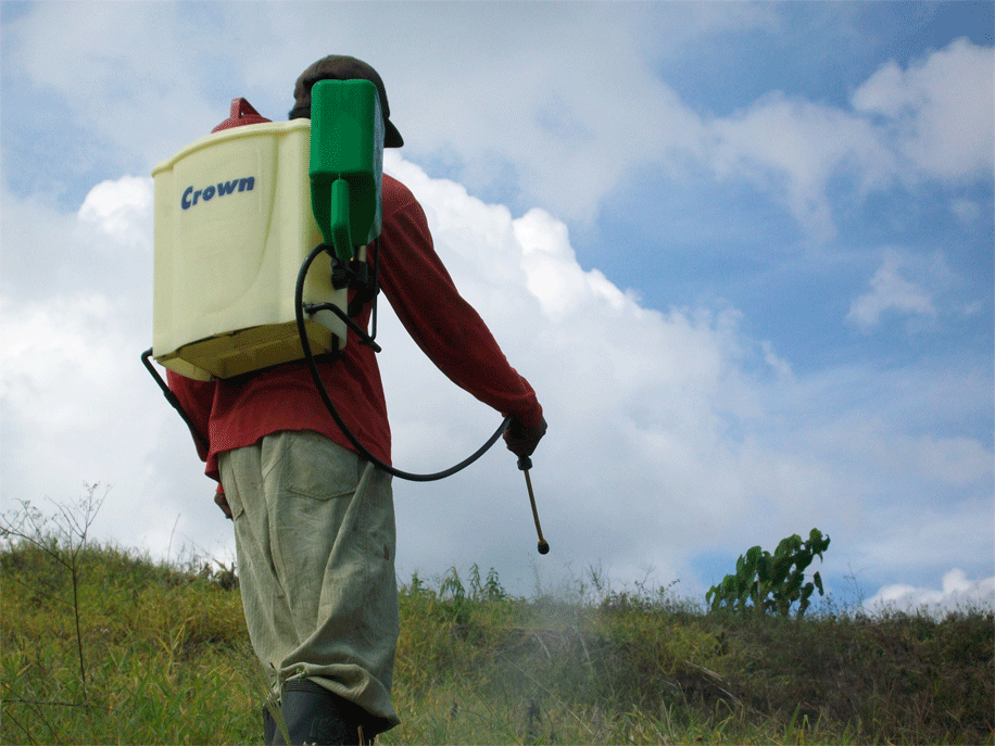 Herbisida Pembasmi Gulma: Pengertian Herbisida bukan racun rumput round up