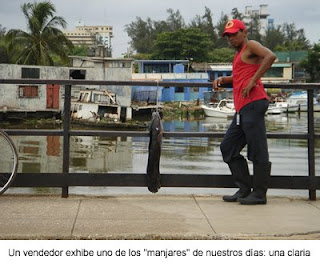 Opositor Cubano: Un diploma y mucha confusión