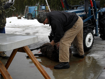 Tumbleweed Farm: Butchering Sheep