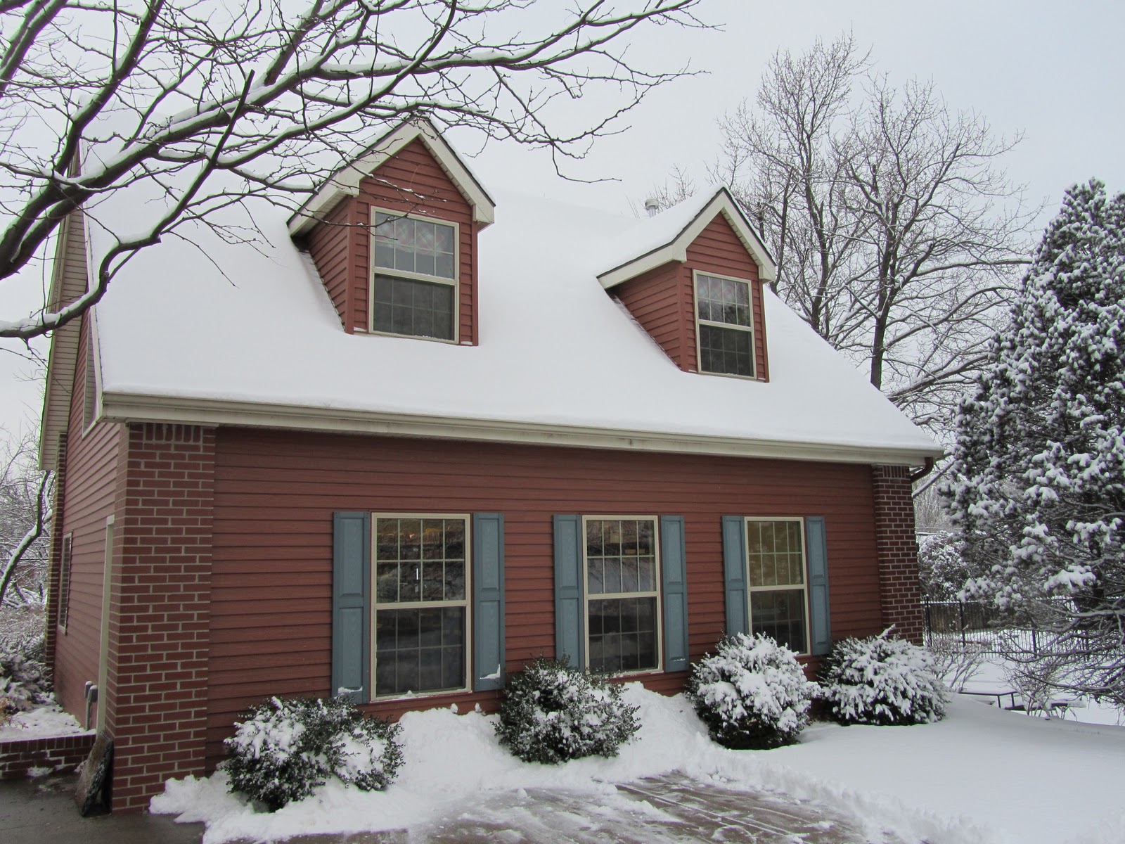 Lizzie*Kate Blog: Snow Day!