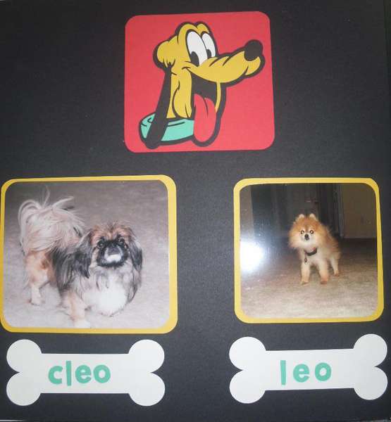 Memories by Renae: Cleo and Leo
