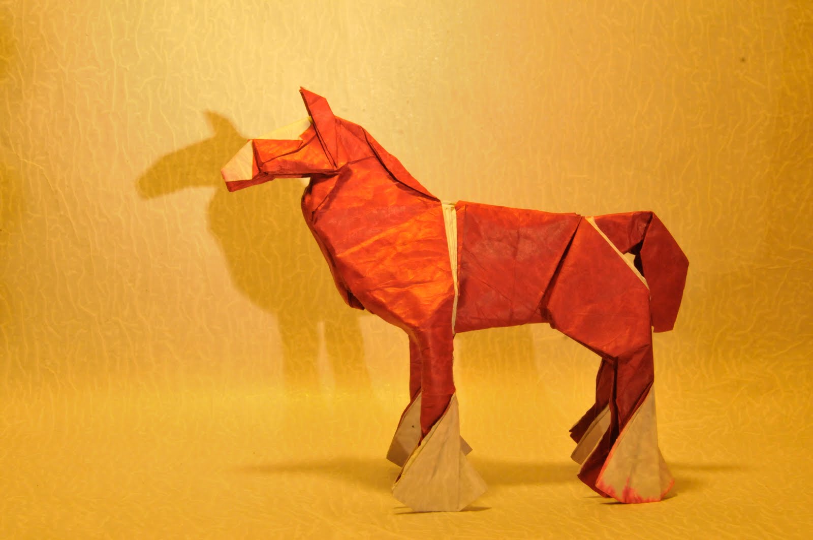 est100 一些攝影(some photos): Quentin Trollip , art of origami. 摺紙藝術