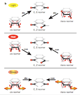 carbon-based curiosities: Defying Woodward-Hoffmann with a Yank