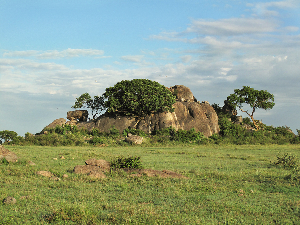 I'm Outta Here: Africa - Ngorongoro Crater and the Serengeti