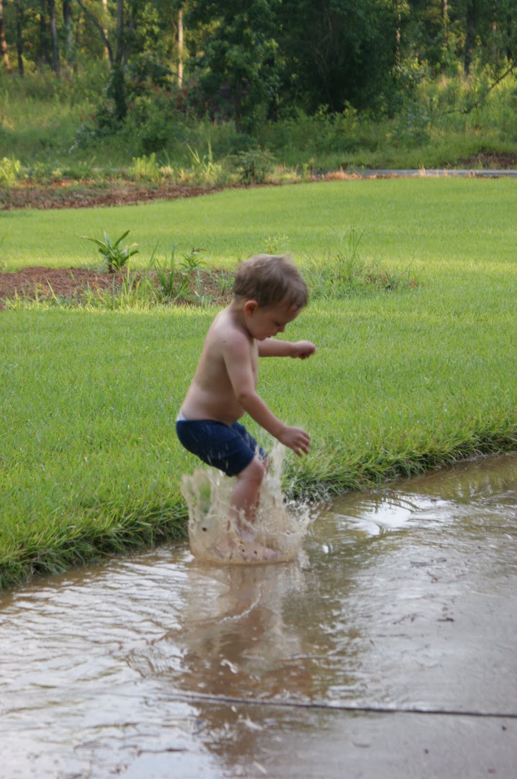 Our Family: Puddle Hopping