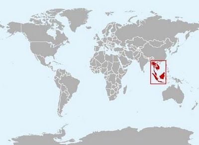 Celebrating Singapore's BioDiversity!: Save our Pangolins!