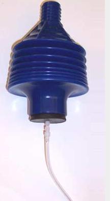 Developments Towards Human Regeneration, Tissue Engineering, Bionics ...