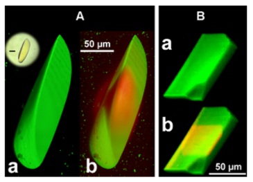 3D Data Storage Progress | NextBigFuture.com