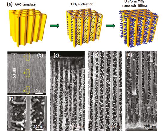 Growth of Titanium Dioxide Nanorods in 3D-Confined Spaces ...