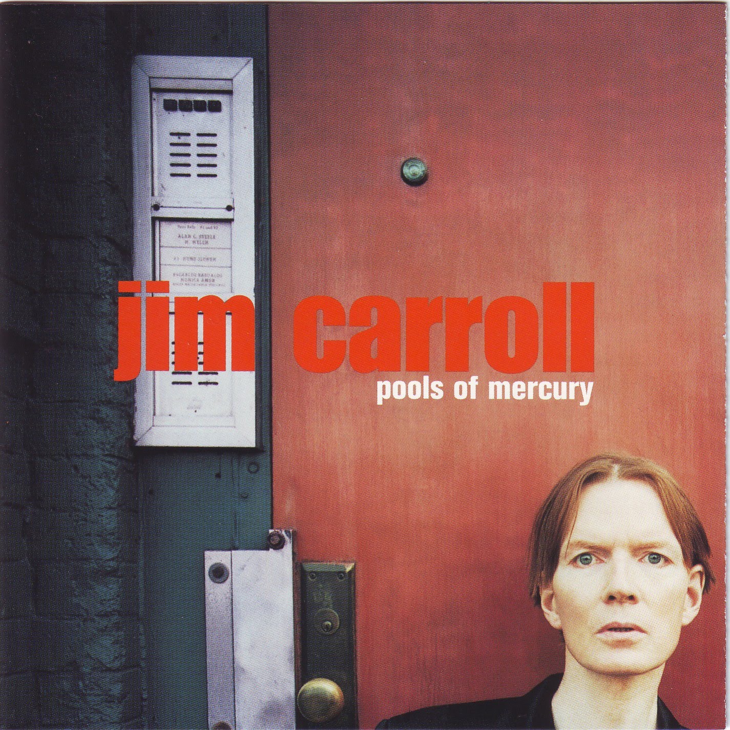 NO PICTURES REVIEWS: JIM CARROLL – POOLS OF MERCURY (MERCURY)