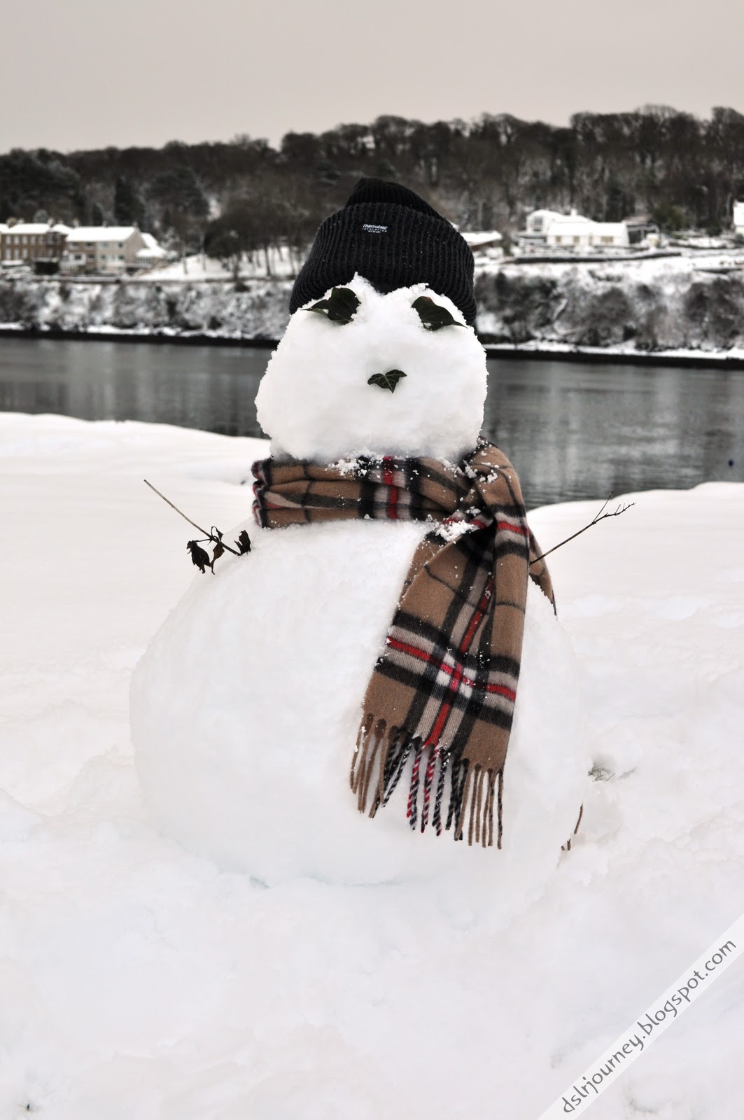 Frosty the Snowman | Journey to be a DSLR Pro